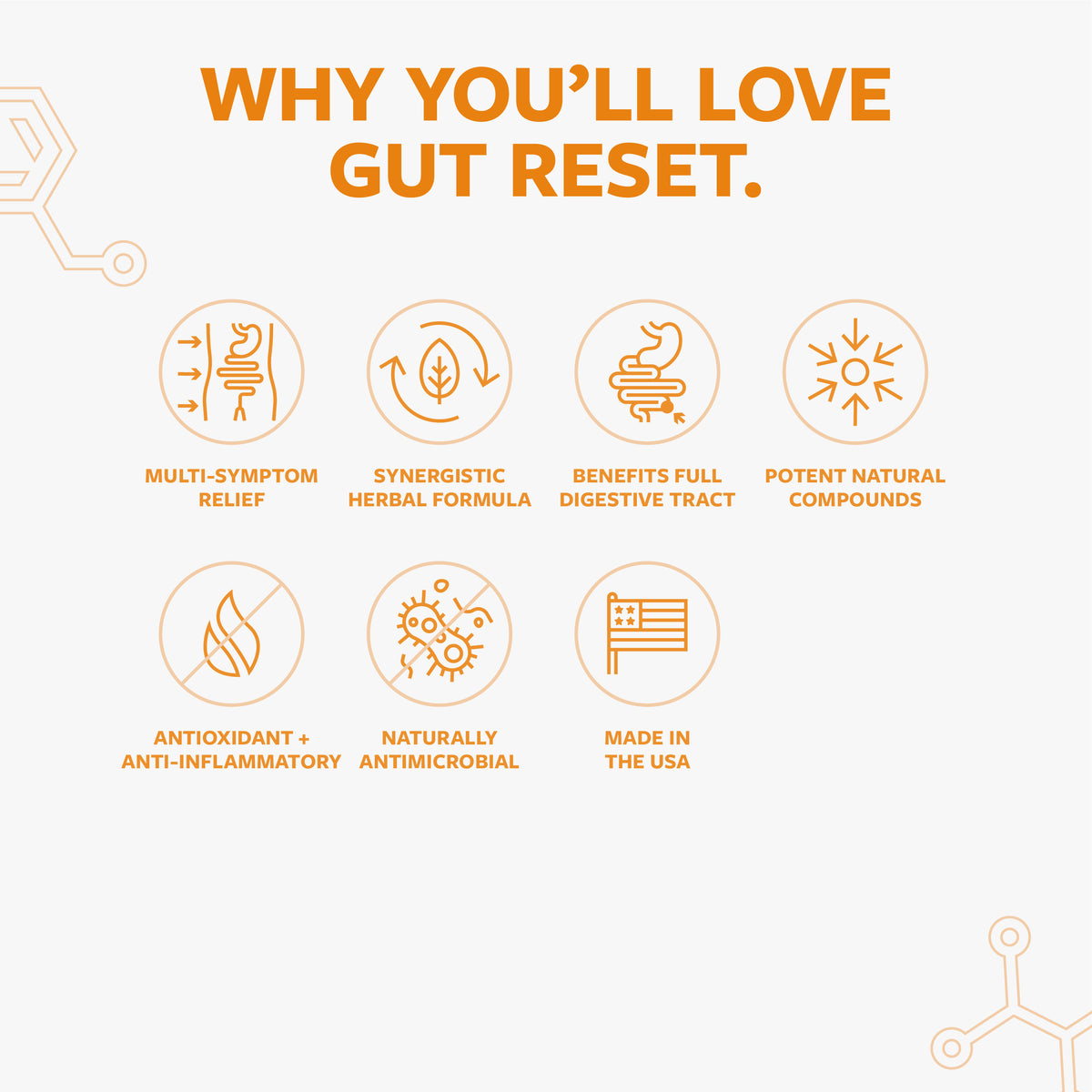 Gut Reset — Microbiome Cleanse – Evexia Science